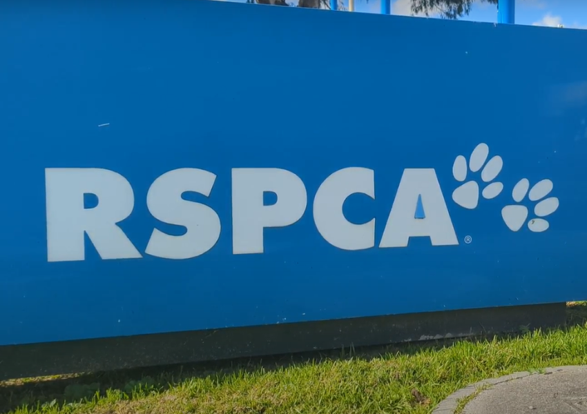 RSPCA thanks Warrnambool - 95.3 Coast FM